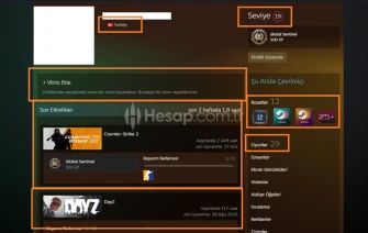 HizliTeslim - DAYZ GTA IV ARMA 2 Injustice Gods Among 13.000 TL STEA ...