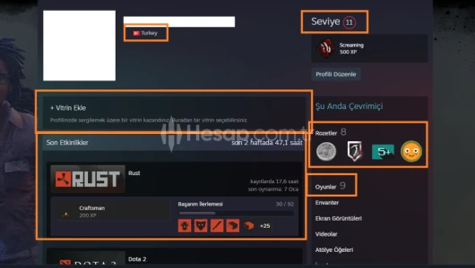 HizliTeslim - RUST HESAPLI Dead by Daylight Rise of the Tomb Raider P ...