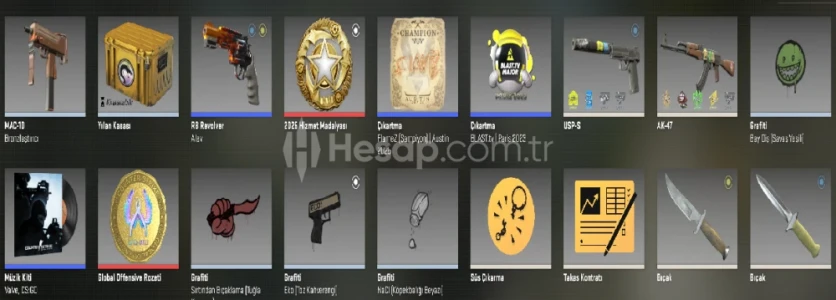 HizliTeslim - 2 MADALYALI 6 LV GTA V RAFT ARMA 3 Sons Of The Forest H ...