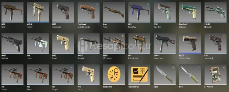 HizliTeslim - PRİME HESAP 29 LV 25 TL CS GO ENVANTERLİ FACEİT İLK KAY ...