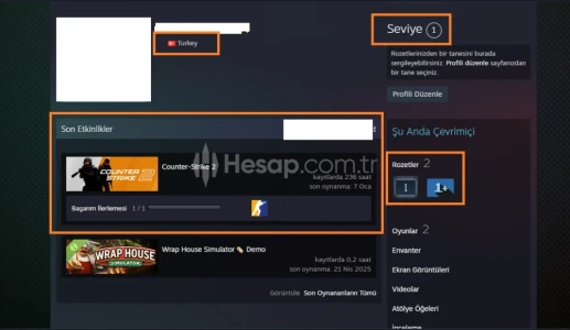 HizliTeslim - PRİME HESAP 29 LV 25 TL CS GO ENVANTERLİ FACEİT İLK KAY ...