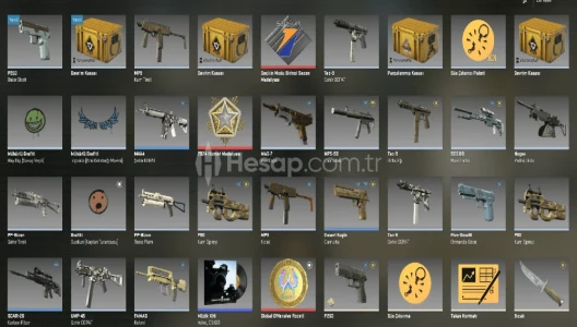 HizliTeslim - 3 MADALYALI 8 LV 165 TL CS GO ENVANTERLİ MAİLLİ MAİNLİK ...