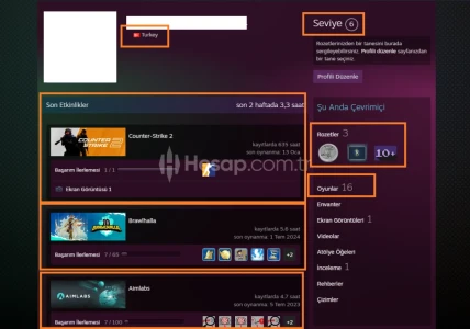 HizliTeslim - 4 MADALYALI 20 LV TR HESABI 200 TL CS GO ENVANTERLİ ETS ...