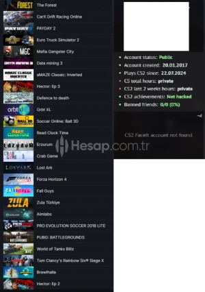 HizliTeslim - 4 MADALYALI 20 LV TR HESABI 200 TL CS GO ENVANTERLİ ETS ...
