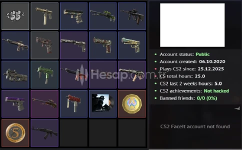 HizliTeslim - 2 MADALYALI 5 LV 1100 TL CS GO ENVANTERLİ BOL SKİNLİ FA ...