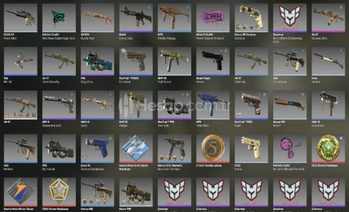 HizliTeslim - 7 MADALYALI TR HESABI 1075 TL CS GO ENVANTERLİ Assassin ...