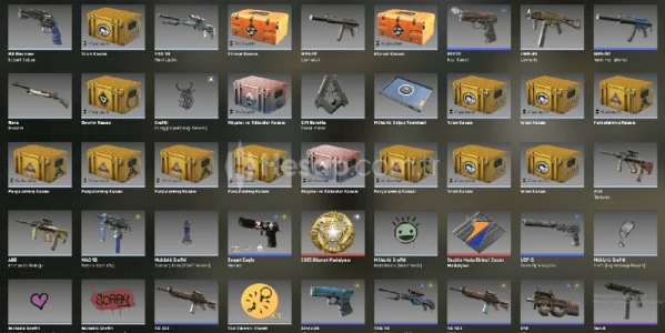 HizliTeslim - 2 MADALYALI 33 LV 800+186 CS 2 ENVANTER VE STEAM BAKİYE ...